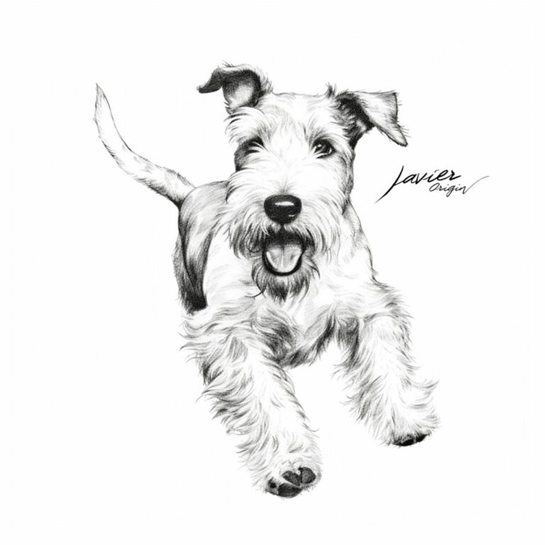 Dibujos - Javier Origin